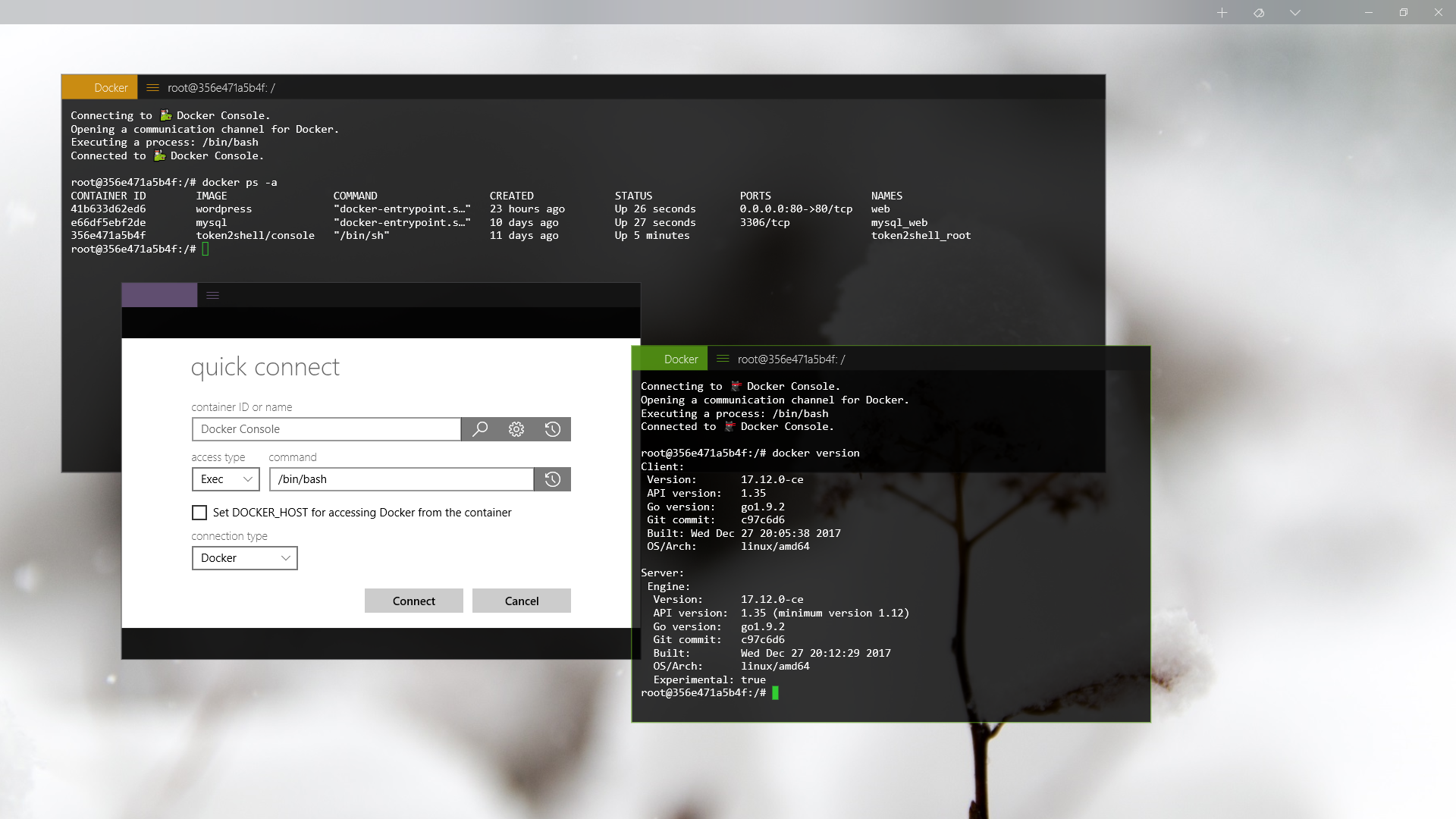 Token2Shell - Choung Networks