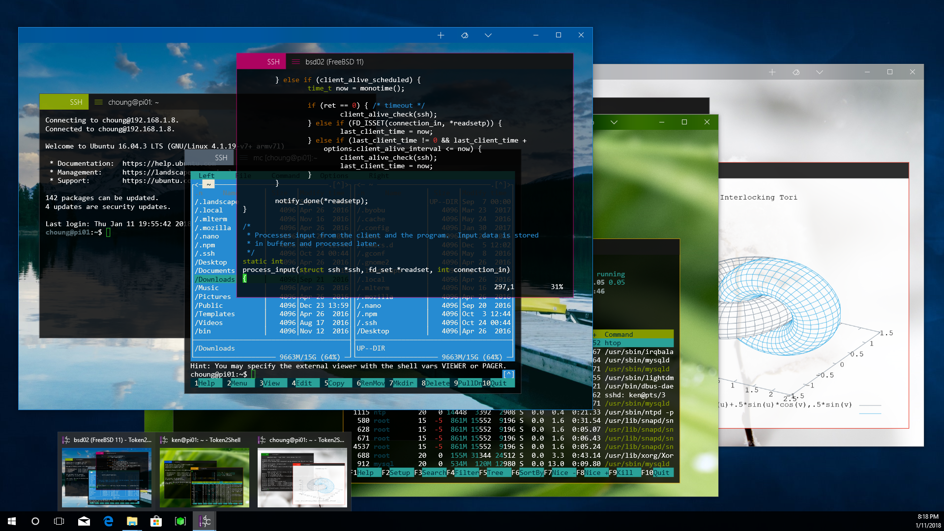 Token2Shell - Choung Networks